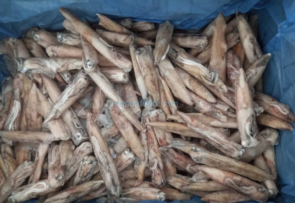 Loligo Squid – ONG Seafood